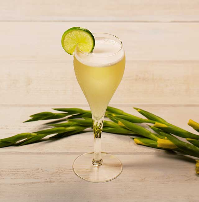 Matador Cocktail Recipe | PATRÓN TEQUILA