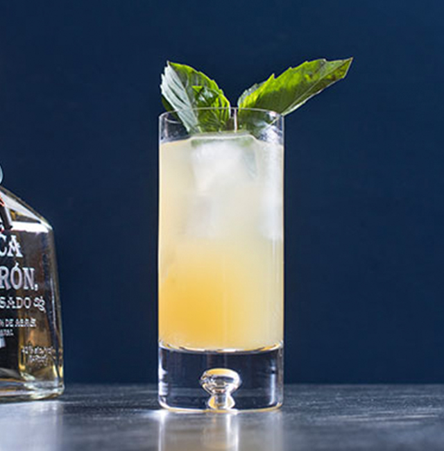 Receta para Cóctel Bickford Sling | PATRÓN TEQUILA