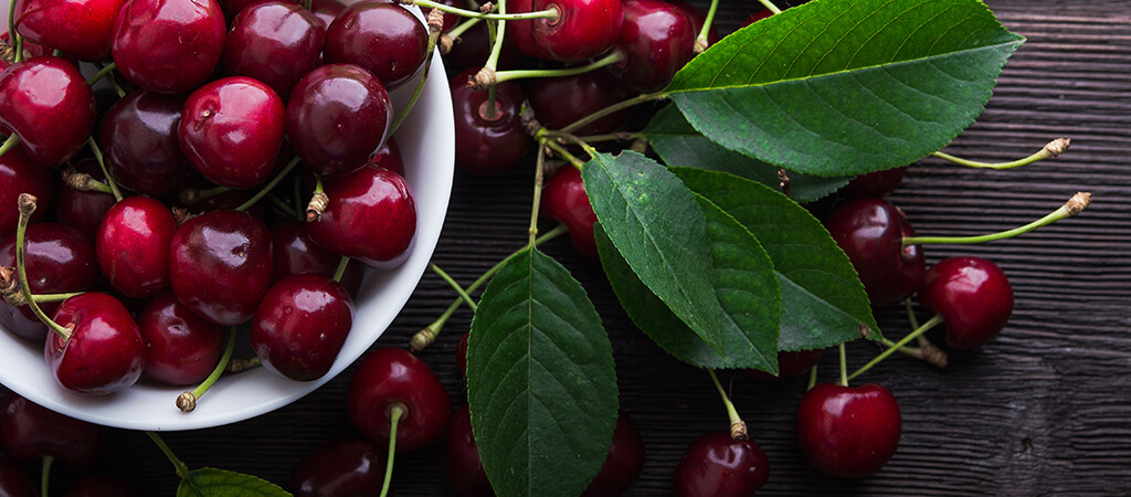 Spring Blossom Sour Recipe | Washington D.C. | PATRÓN TEQUILA