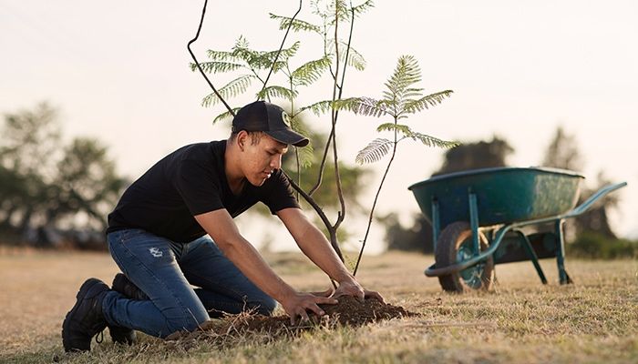 Patron x Tree Canada Promote Sustainability | PATRÓN TEQUILA