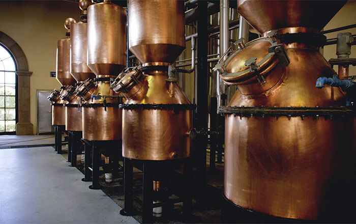 The History of Tequila | PATRÓN TEQUILA